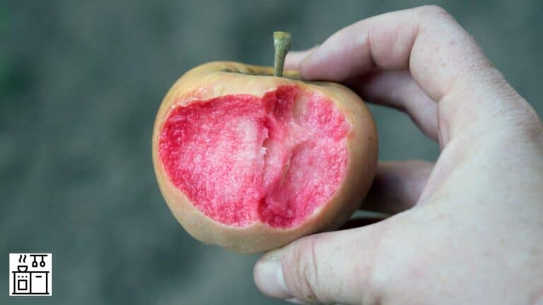 12 Common Apple Varieties That Are Red On The Inside