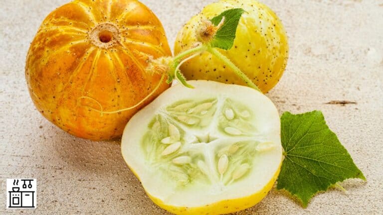 15 Types of Cucumbers that Climb While Growing