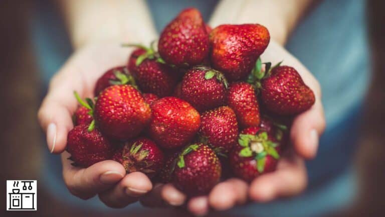 12 Types of Strawberries that Are the Sweetest
